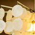 4-Light 22" Cone Shape 4-Tier Coastal Capiz Shells Chandelier With Ant